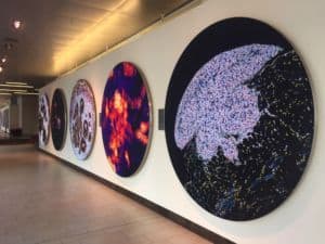 What is Environmental Graphic Design? Examples, Tips & More